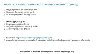 Προσέγγιση παιδιού με προγεννητική διάγνωση υδρονέφρωσης | PPT