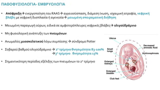 Προσέγγιση παιδιού με προγεννητική διάγνωση υδρονέφρωσης | PPT