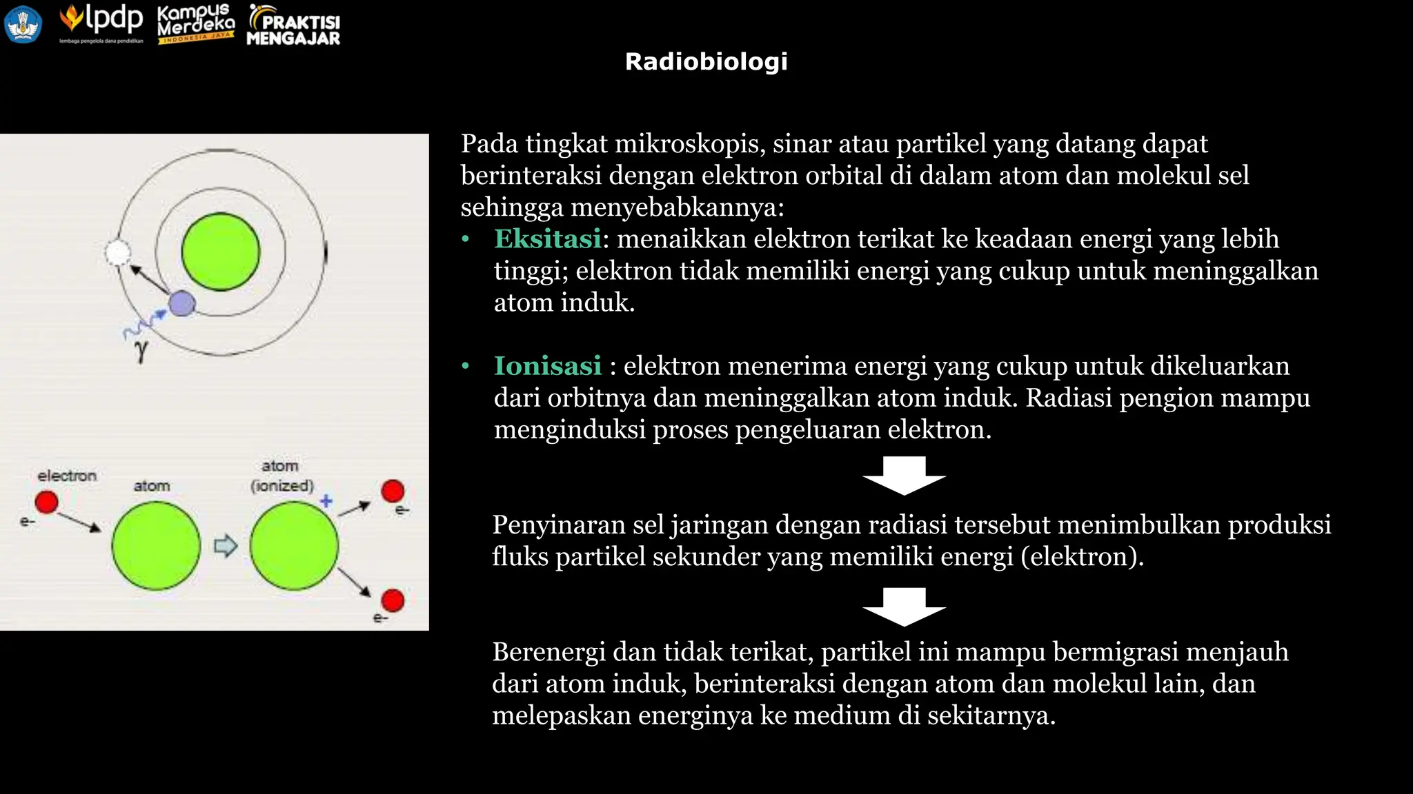 3. Basis Biologis untuk Keselamatan Radiasi - Lanjutan.pptx