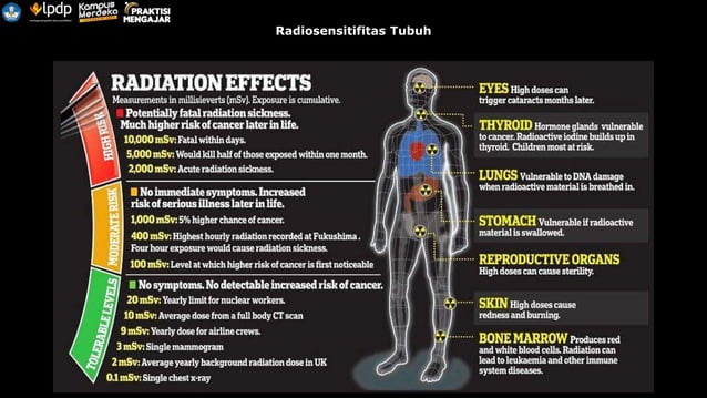 3. Basis Biologis untuk Keselamatan Radiasi - Lanjutan.pptx