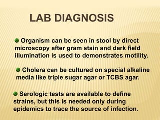 3. Cholera.pptx for bsc nursing students | PPT