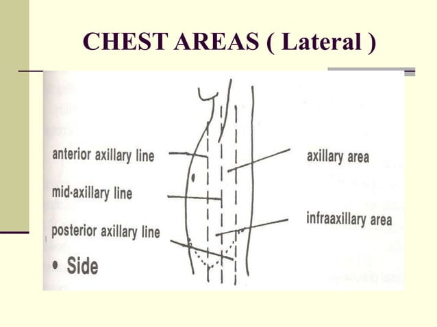 3. Chest examination.ppt ehbeiebeiwbbwbsiehbe | PPT