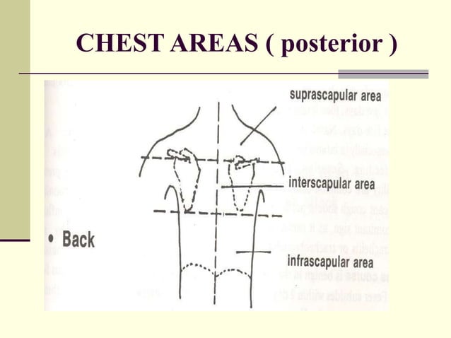 3. Chest examination.ppt ehbeiebeiwbbwbsiehbe | PPT