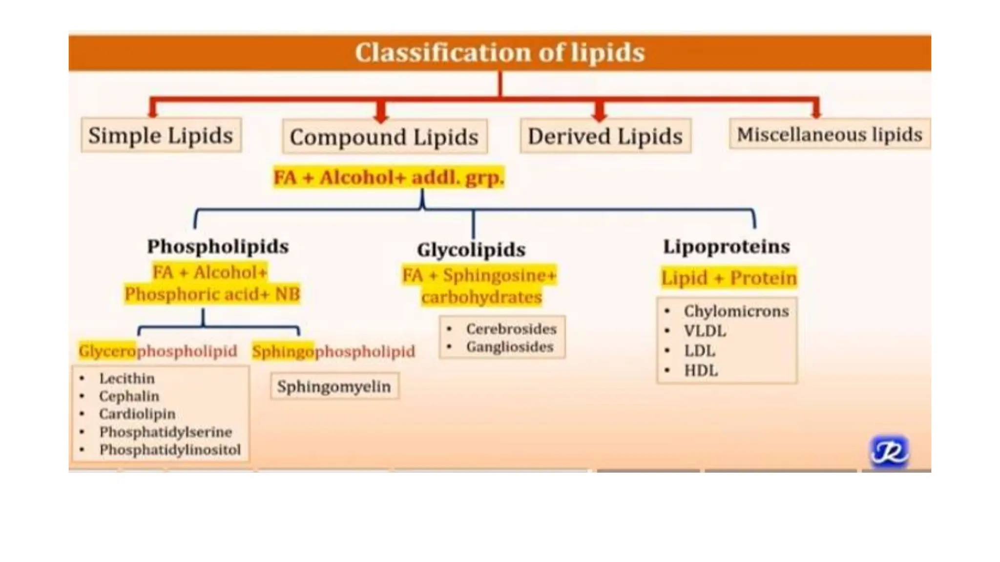 3. Introduction to Lipid & its Metabolism.pptx