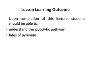 Introduction to Glycolysis for basic biochemistry | PPT
