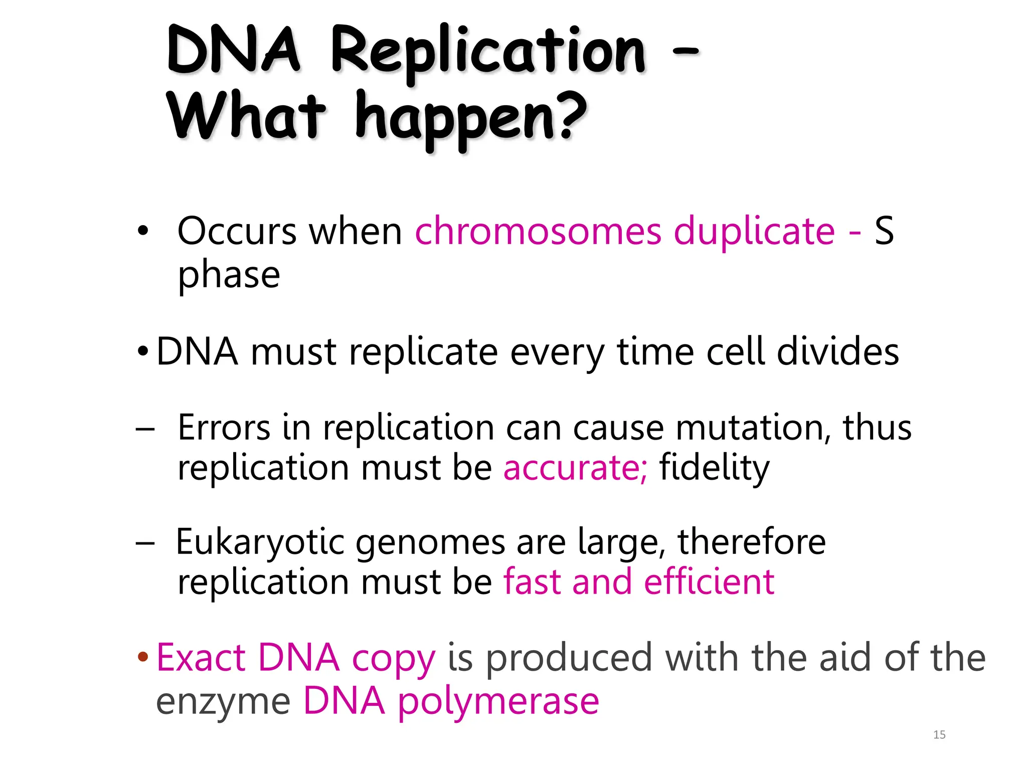 DNA Replication and DNA Repair Mechanism | PPTX