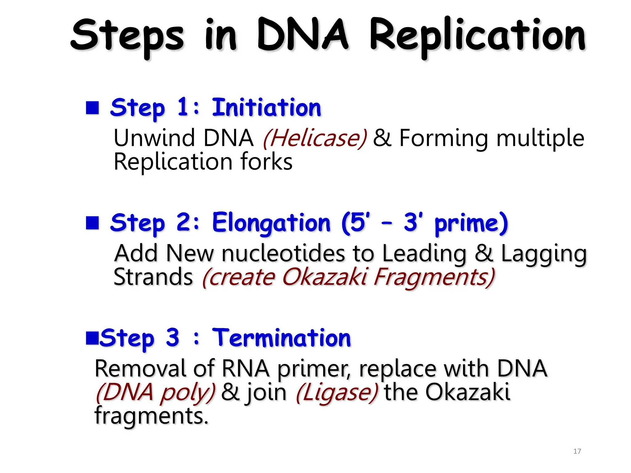 DNA Replication and DNA Repair Mechanism | PPTX