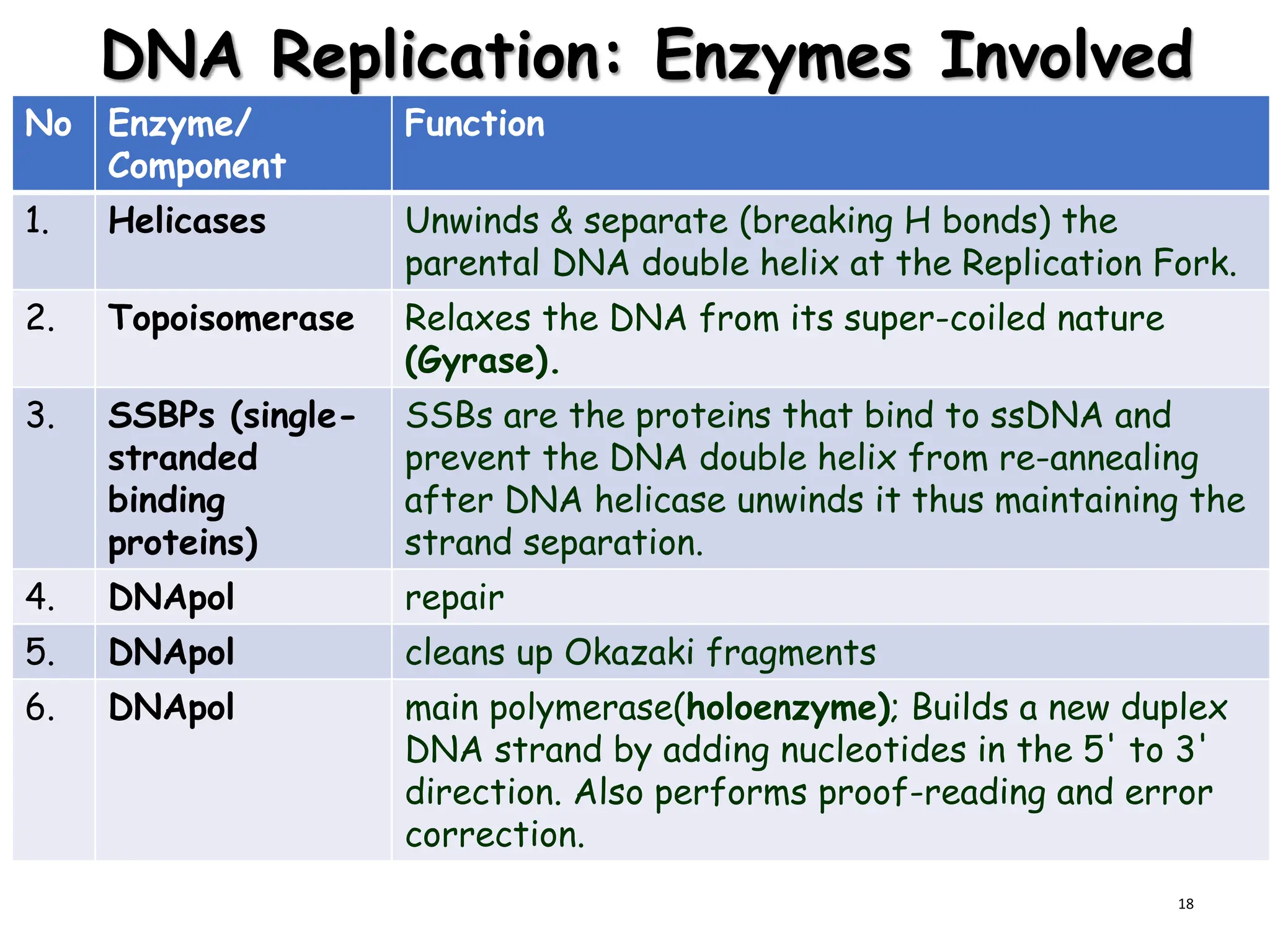 DNA Replication and DNA Repair Mechanism | PPTX