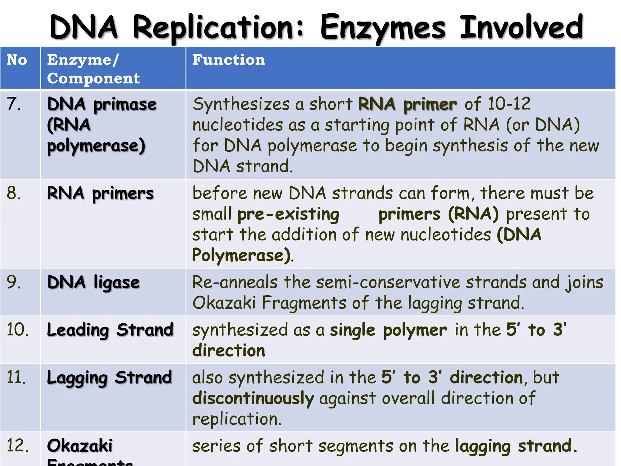 DNA Replication and DNA Repair Mechanism | PPTX