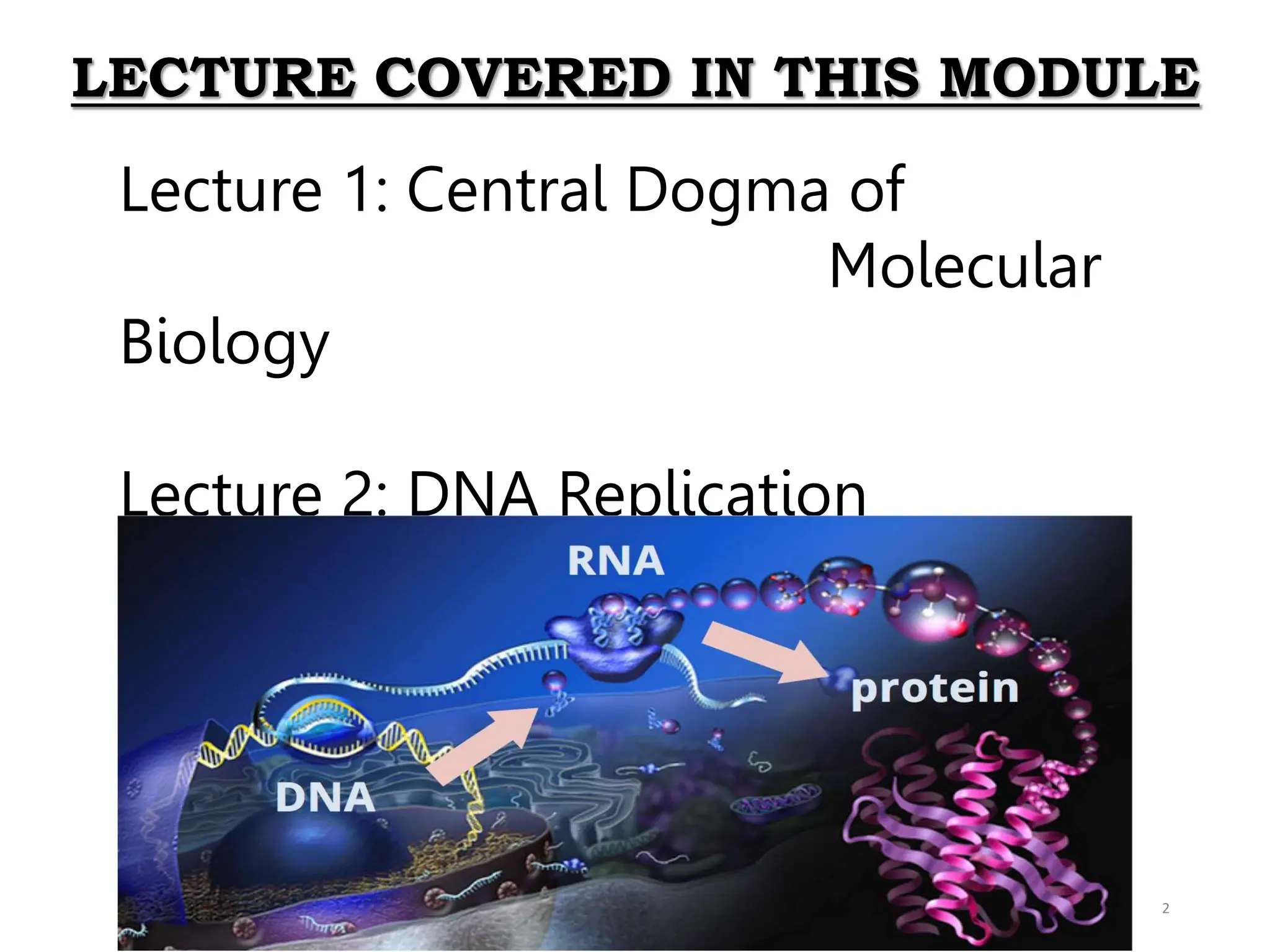 DNA Replication and DNA Repair Mechanism | PPTX
