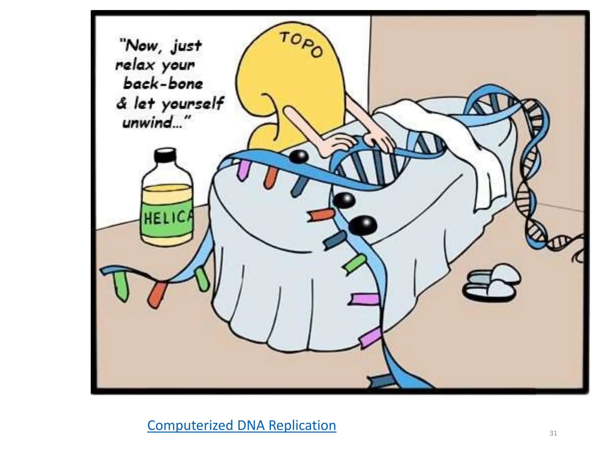 DNA Replication and DNA Repair Mechanism | PPTX