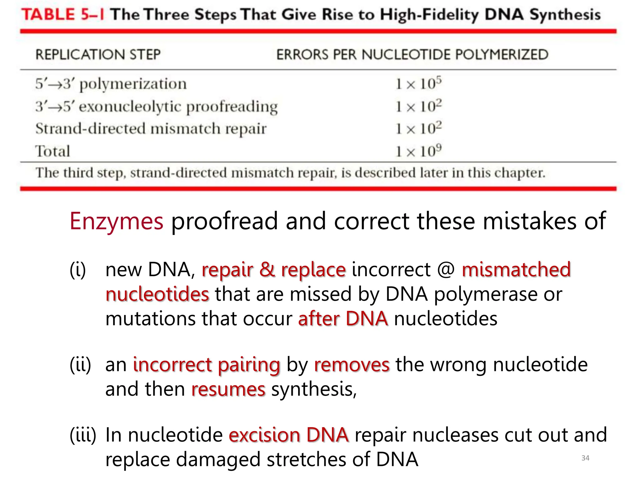 DNA Replication and DNA Repair Mechanism | PPTX