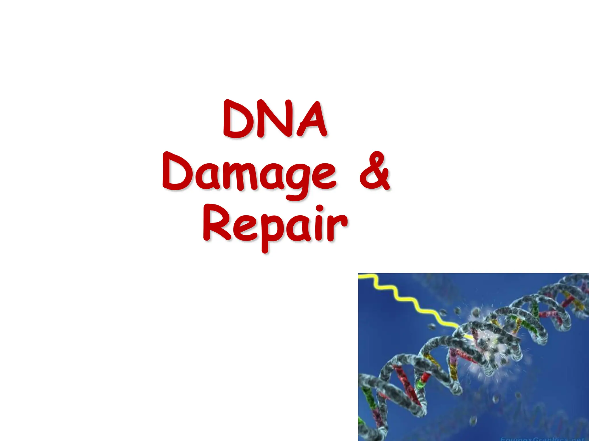 DNA Replication and DNA Repair Mechanism | PPTX