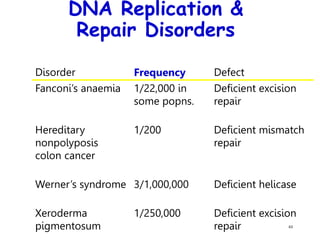 DNA Replication and DNA Repair Mechanism | PPTX