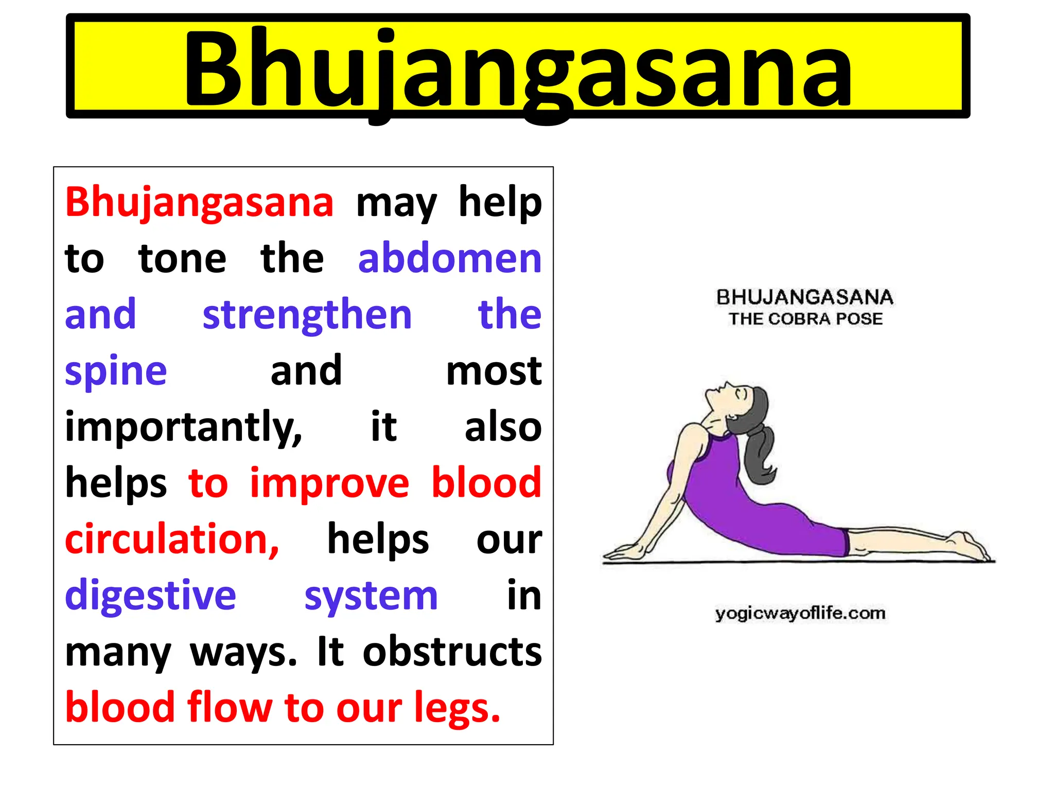 3. YOGA NOTES FOR Different types of asanas.pptx