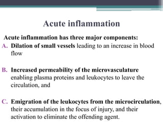 3. INFLAMMATION.pptxschoolofclinicalscie | PPTX