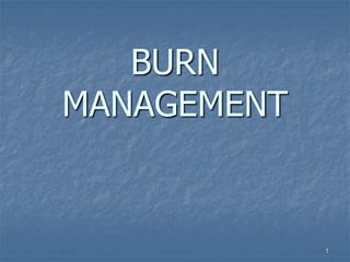 3. Burn its types and explanation about it.ppt