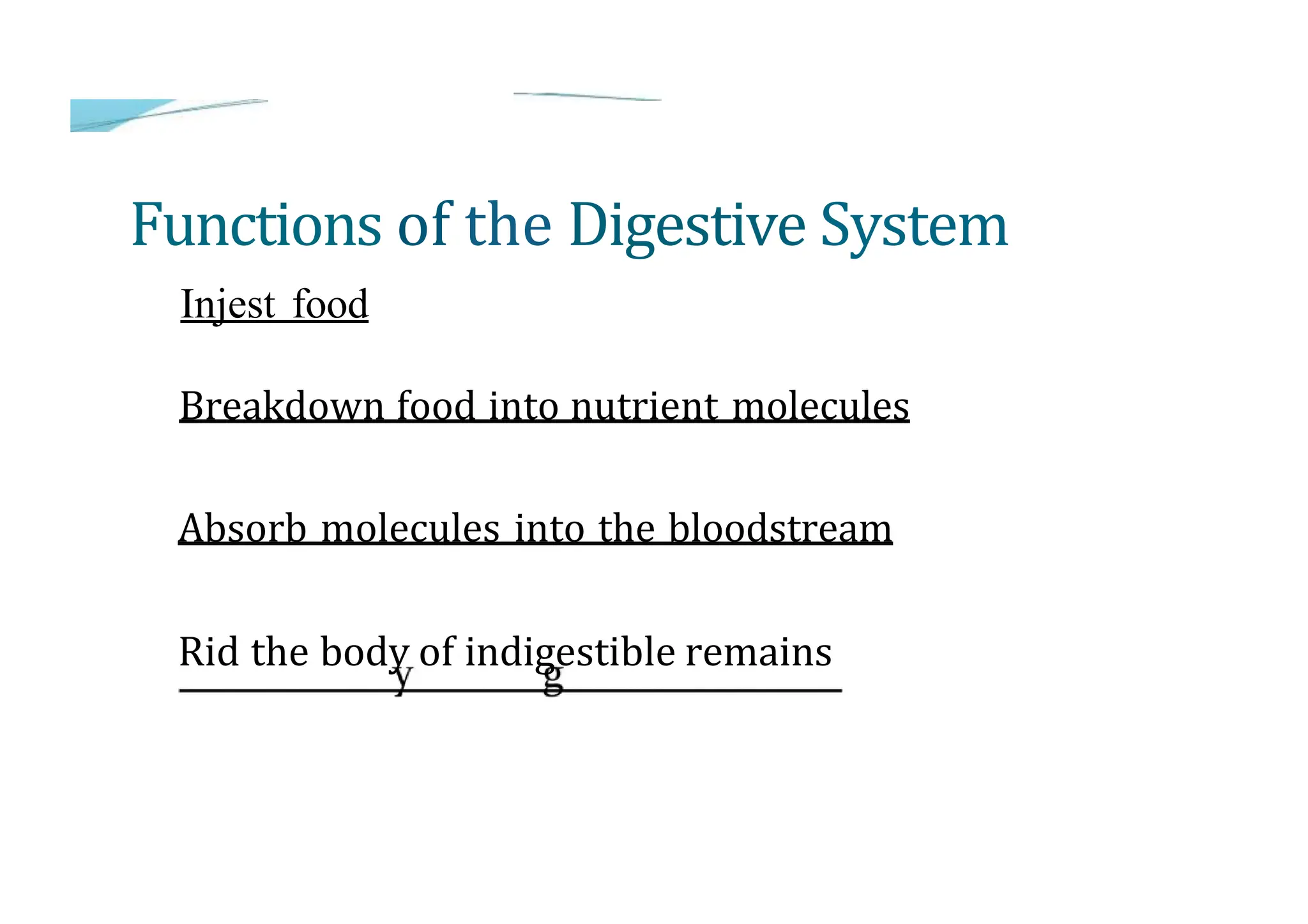 the digestive system with diagrams and labelling | PPT