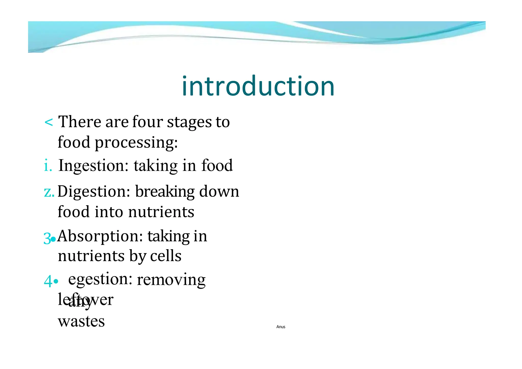 the digestive system with diagrams and labelling | PPTX