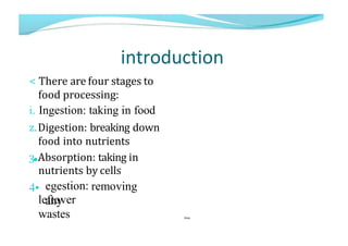 the digestive system with diagrams and labelling | PPT