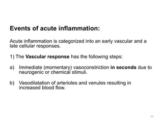 3. Inflammation details about inflammation | PPT