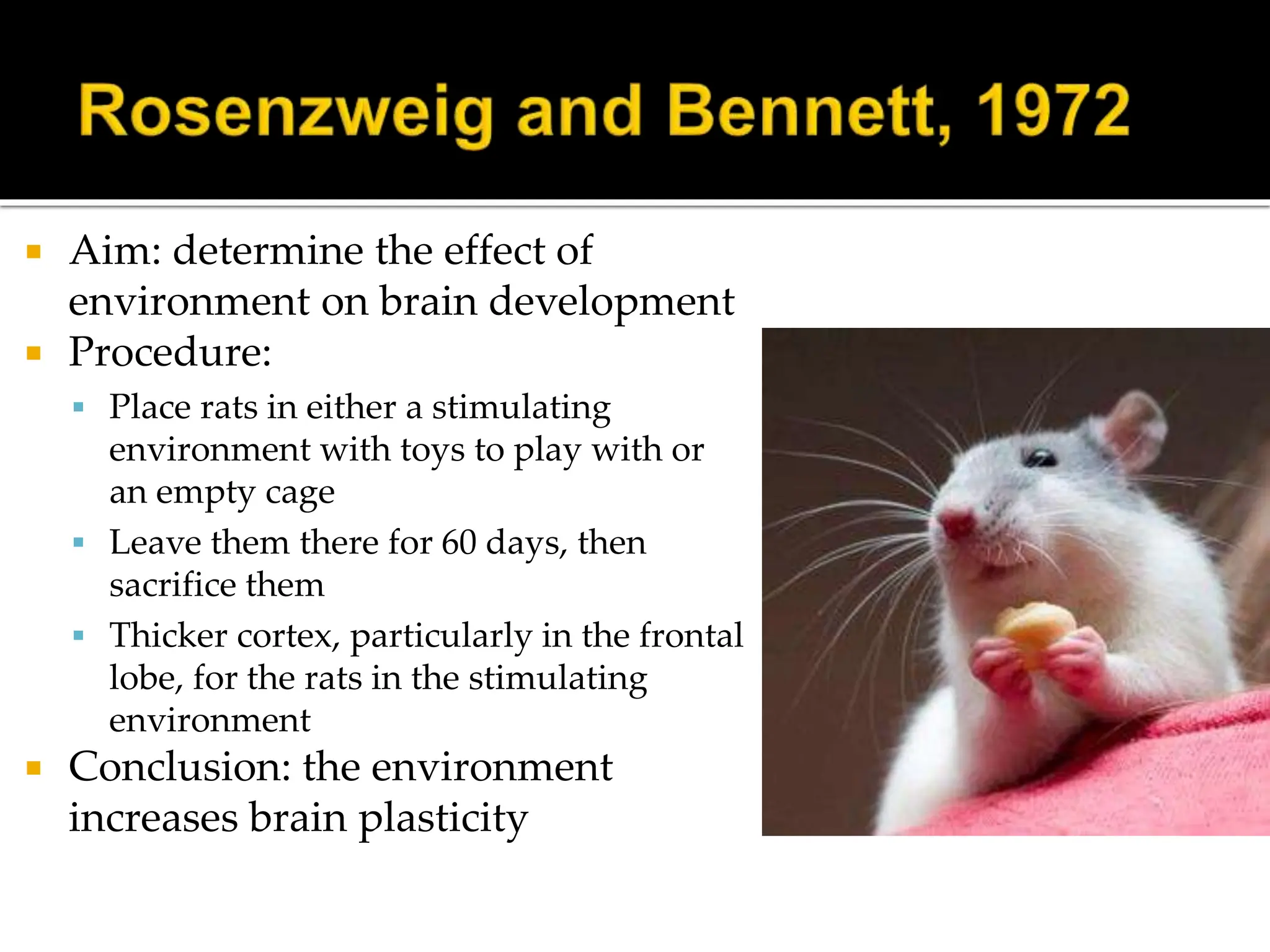IB Psychology The Biological Level of Analysis.pptx