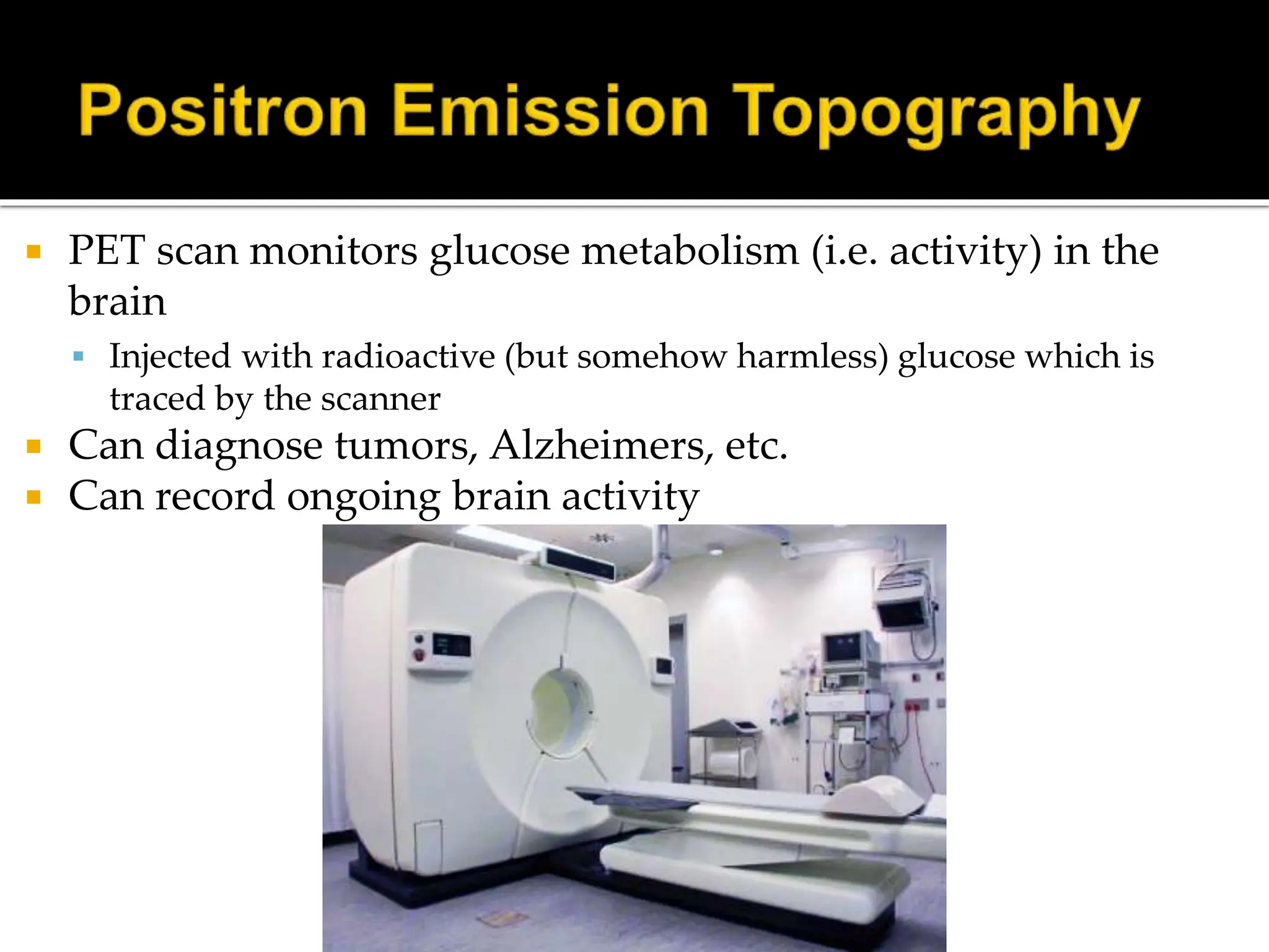 IB Psychology The Biological Level of Analysis.pptx