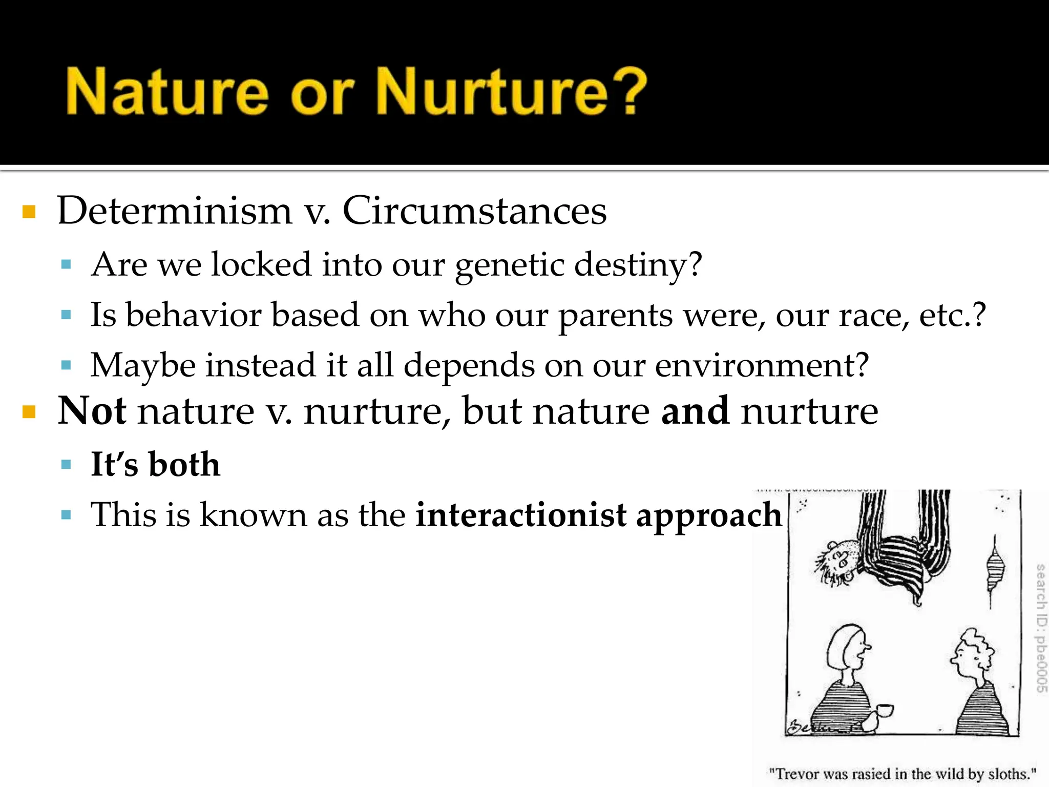 IB Psychology The Biological Level of Analysis.pptx