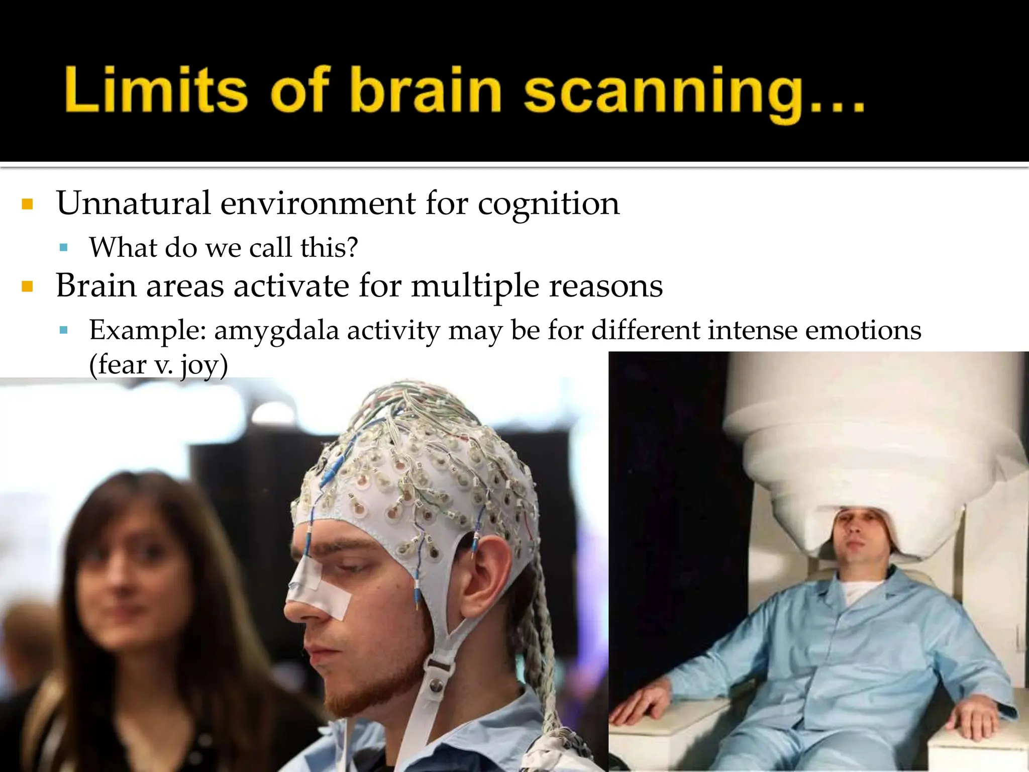 IB Psychology The Biological Level of Analysis.pptx