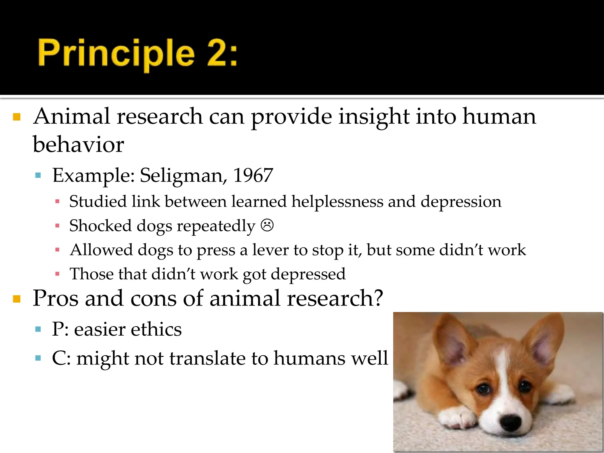 IB Psychology The Biological Level of Analysis.pptx