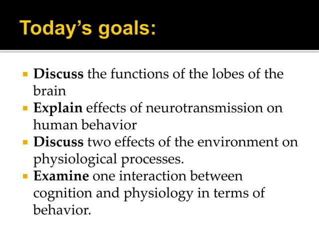 IB Psychology The Biological Level of Analysis.pptx