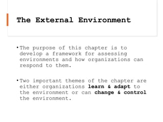 The External Environment analysis slides.ppt