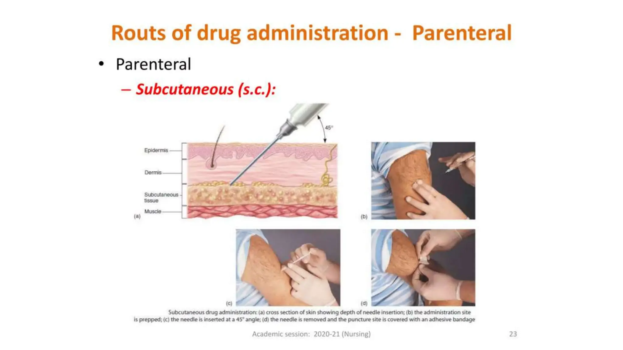 3.Principles of Drug administration & Routes_28 Feb 2024.pptx