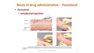 3.Principles of Drug administration & Routes_28 Feb 2024.pptx