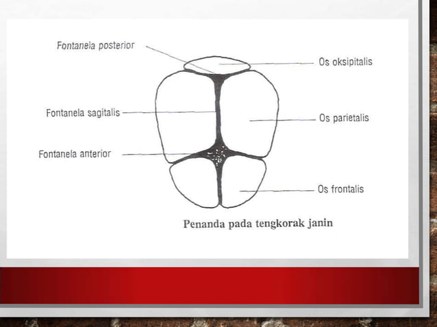 Malposisi-Malpresentasi obstetri terbaru.pdf