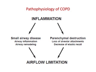 Chronic Obstructive Pulmonary Disease / COPD | PPT