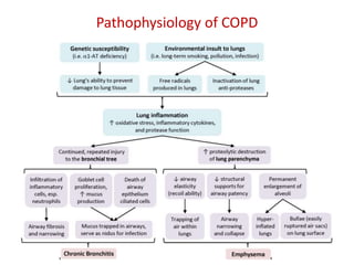 Chronic Obstructive Pulmonary Disease / COPD | PPT