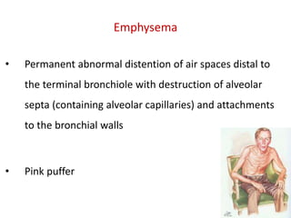 Chronic Obstructive Pulmonary Disease / COPD | PPT