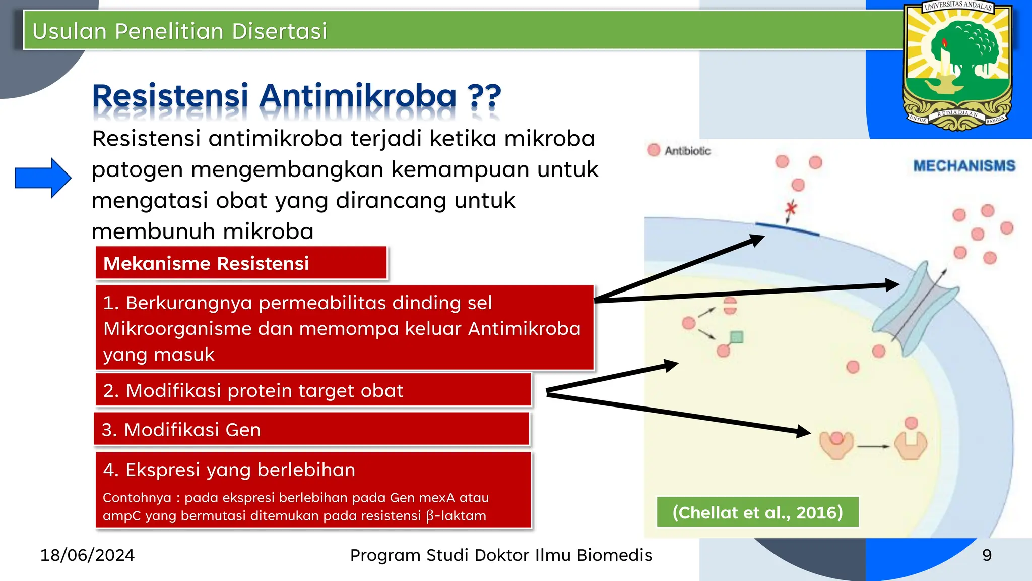 SENYAWA ANTIBAKTERI DARI JAMUR ENDOFIT TANAMAN OBAT (Kajian Penelitian ...
