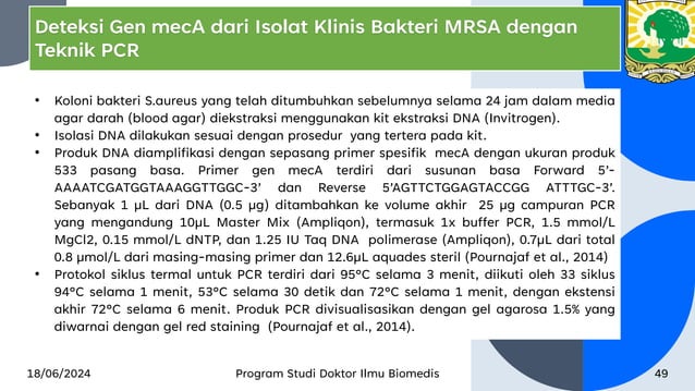 SENYAWA ANTIBAKTERI DARI JAMUR ENDOFIT TANAMAN OBAT (Kajian Penelitian ...