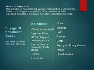 3. kanchnara is a medium sized tree. It has many therapeutic uses | PPTX