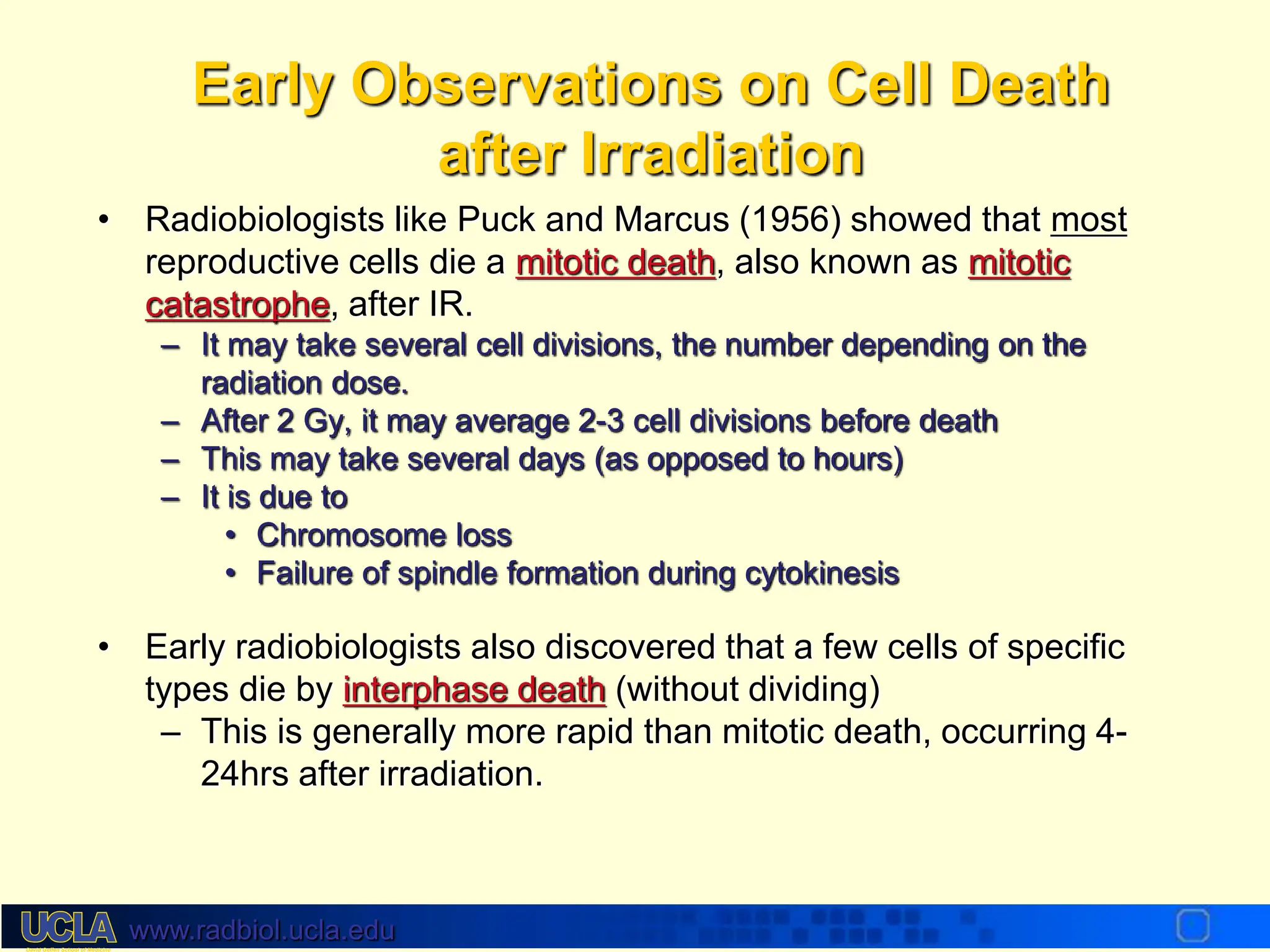 Radiation targets - cell proliferation, cell death and survival | PPT
