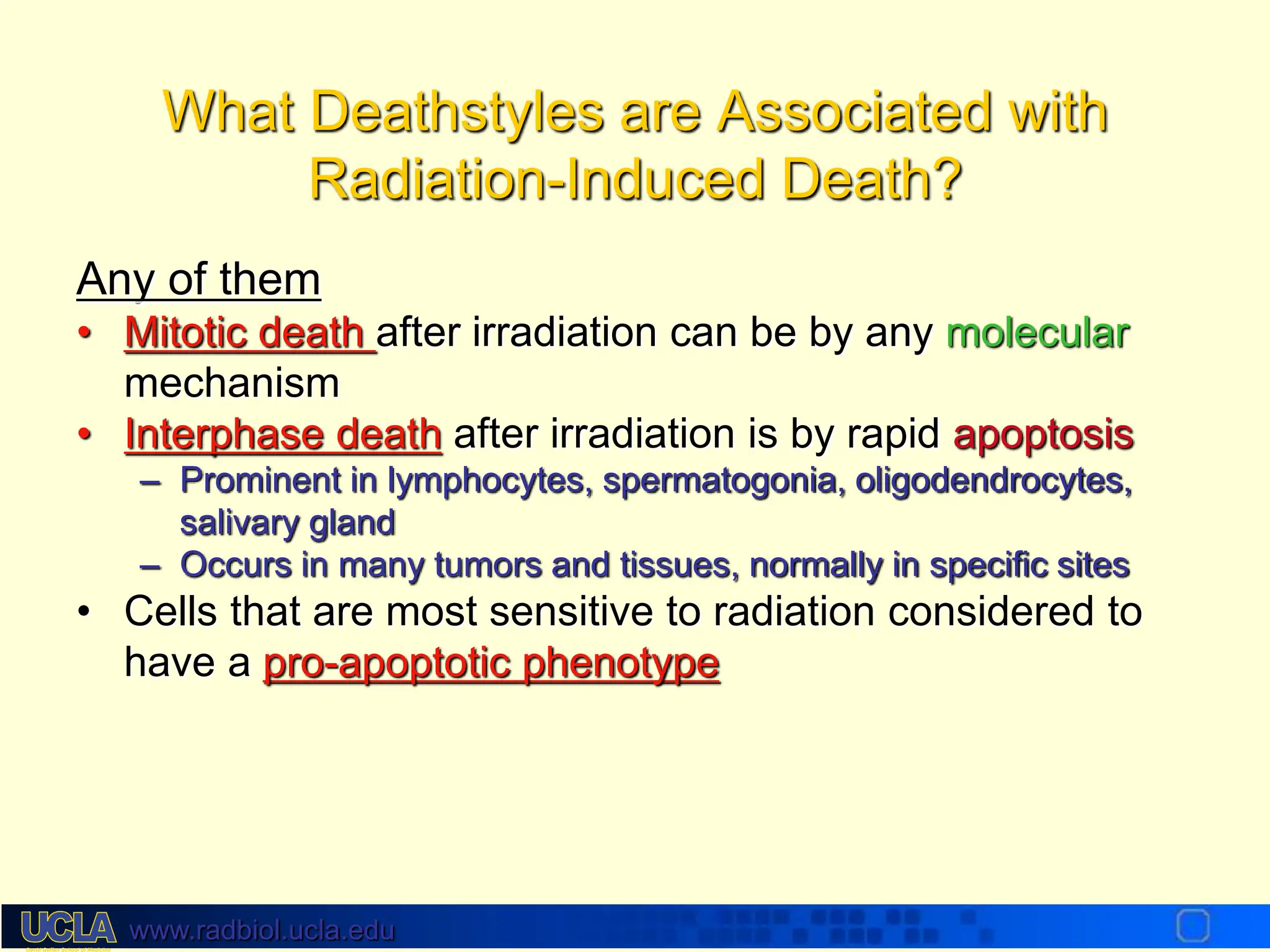 Radiation targets - cell proliferation, cell death and survival | PPT
