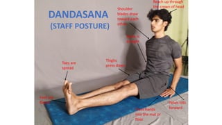 sitting asana-Comprehensive understanding of sitting asana | PPT