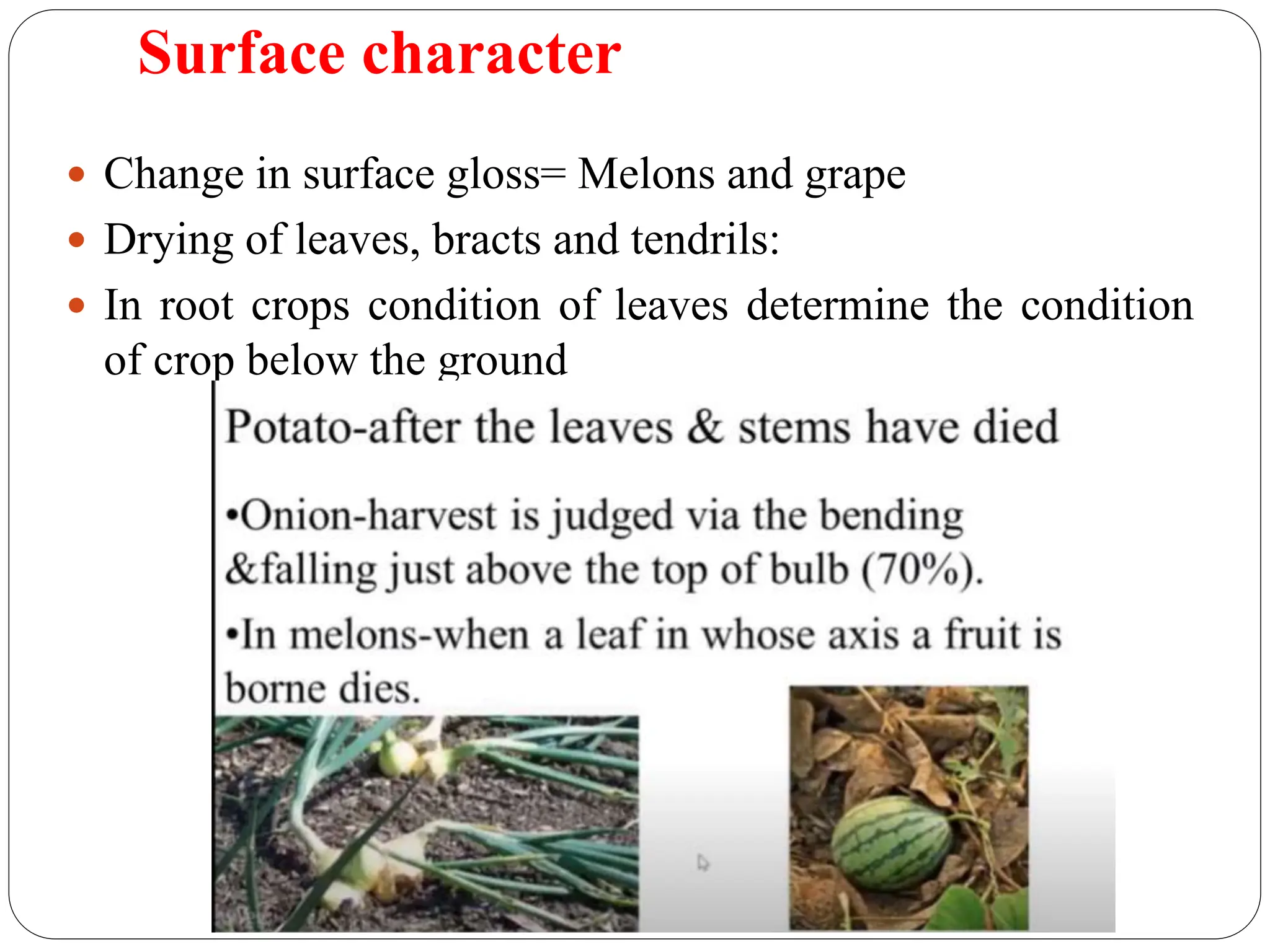 3. Maturity_indices_of_fruits_and_vegetable.pptx