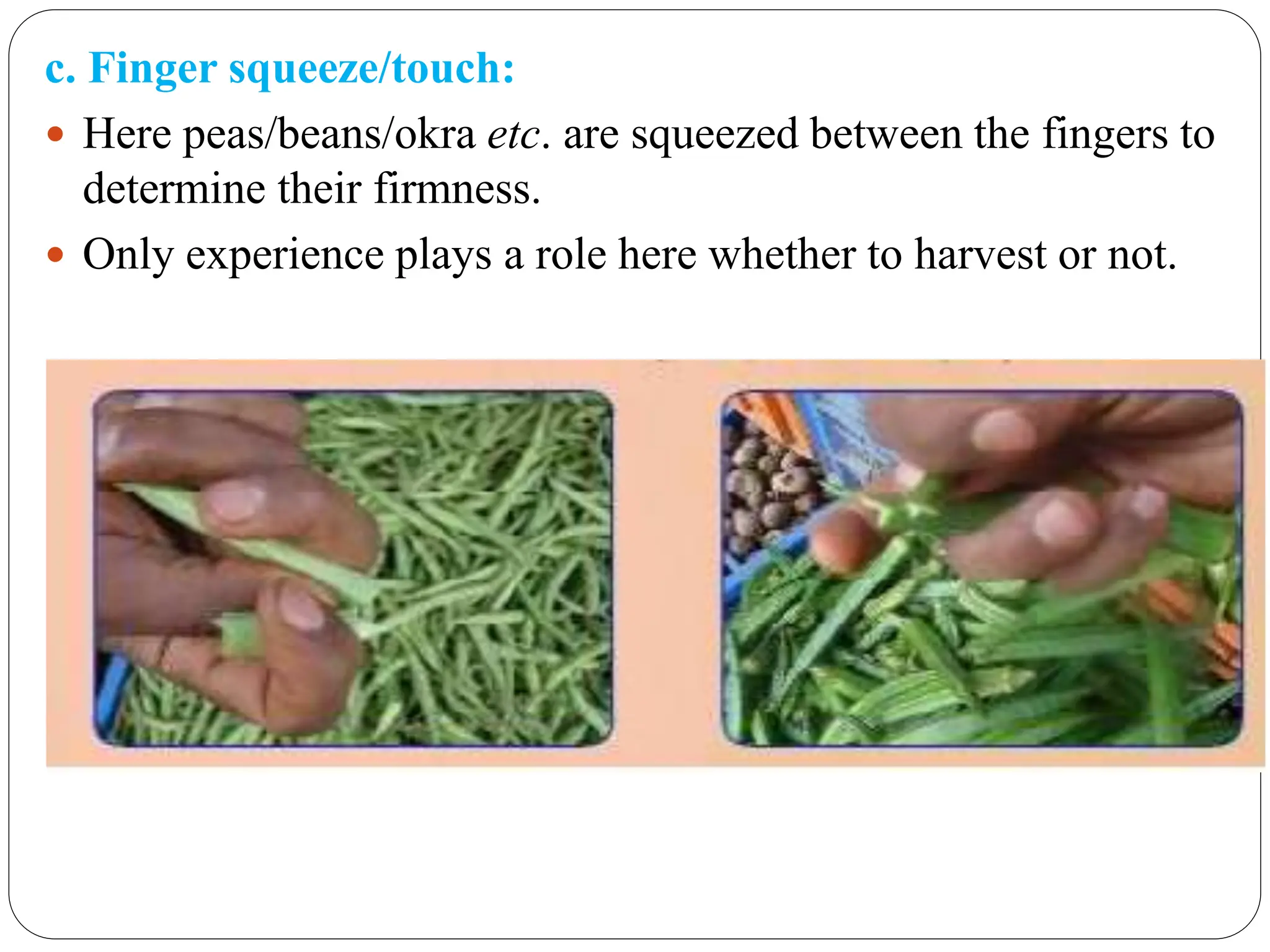 3. Maturity_indices_of_fruits_and_vegetable.pptx