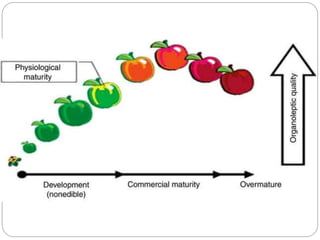 3. Maturity_indices_of_fruits_and_vegetable.pptx