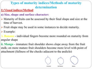 3. Maturity_indices_of_fruits_and_vegetable.pptx