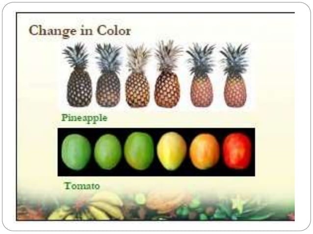 3. Maturity_indices_of_fruits_and_vegetable.pptx | Agriculture | Industries