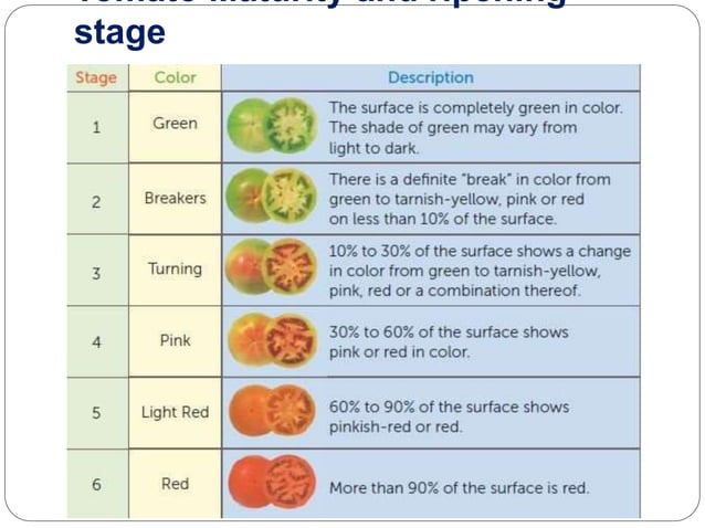 3. Maturity_indices_of_fruits_and_vegetable.pptx | Agriculture | Industries